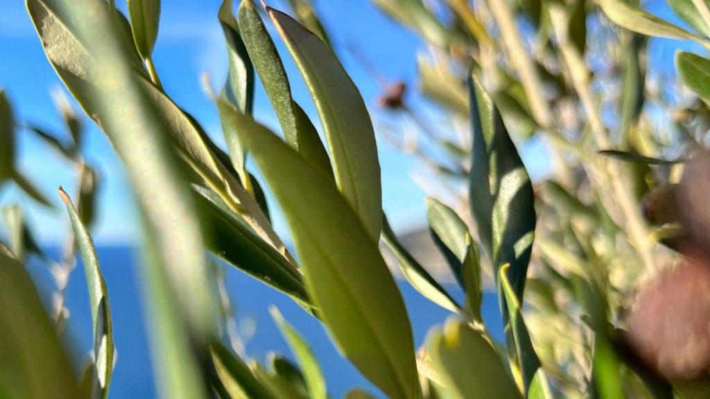 Nhìn lại: Olivier Pomel, Giám đốc điều hành của Datadog với 100.000.000 ...